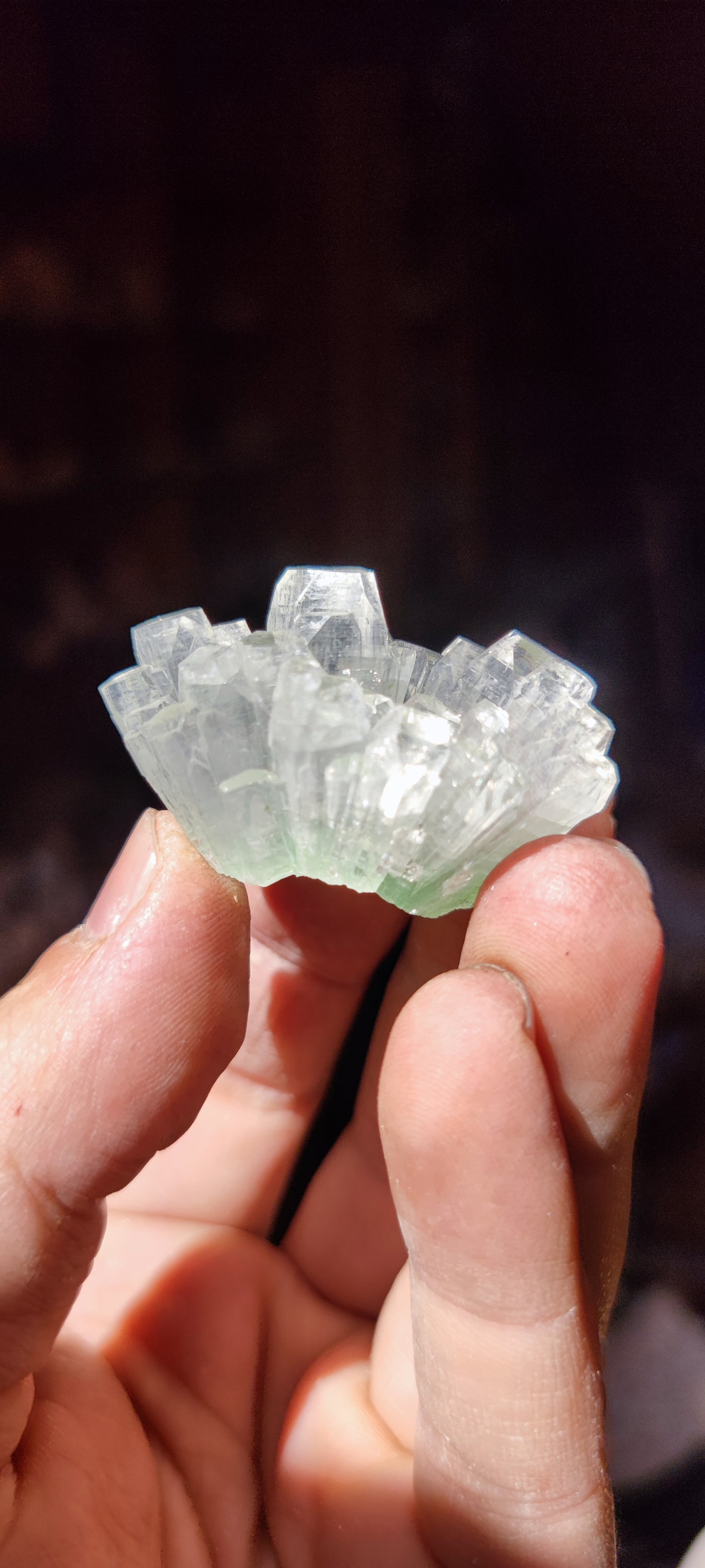 Green Apophyllite Crystals - Etsy