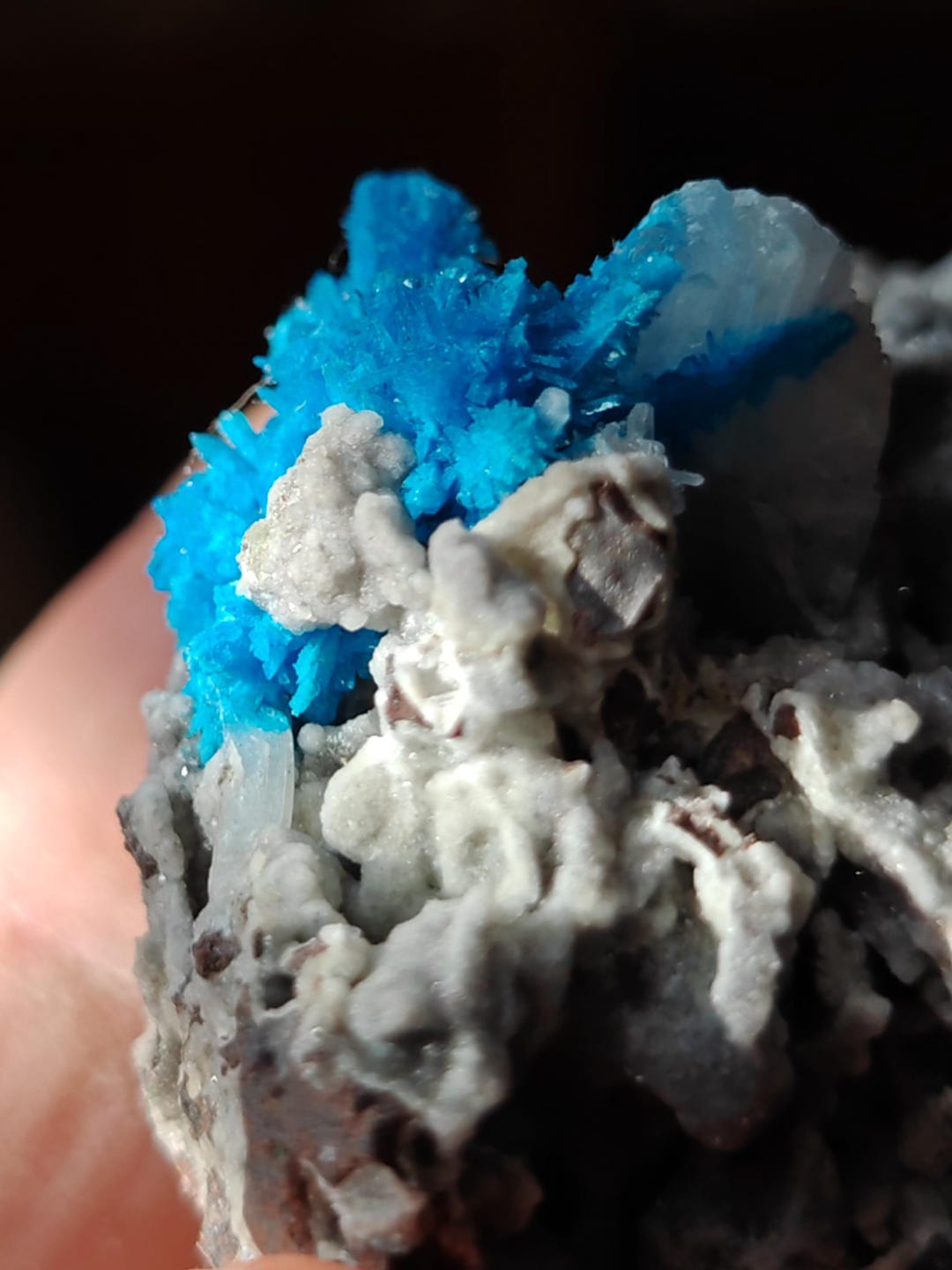 Pentagonite on Matrix, Large Size - Etsy