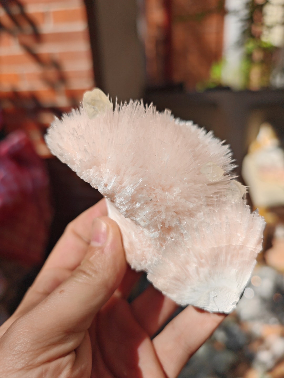 Pink Natrolite on Matrix With Calcite Crystals - Etsy