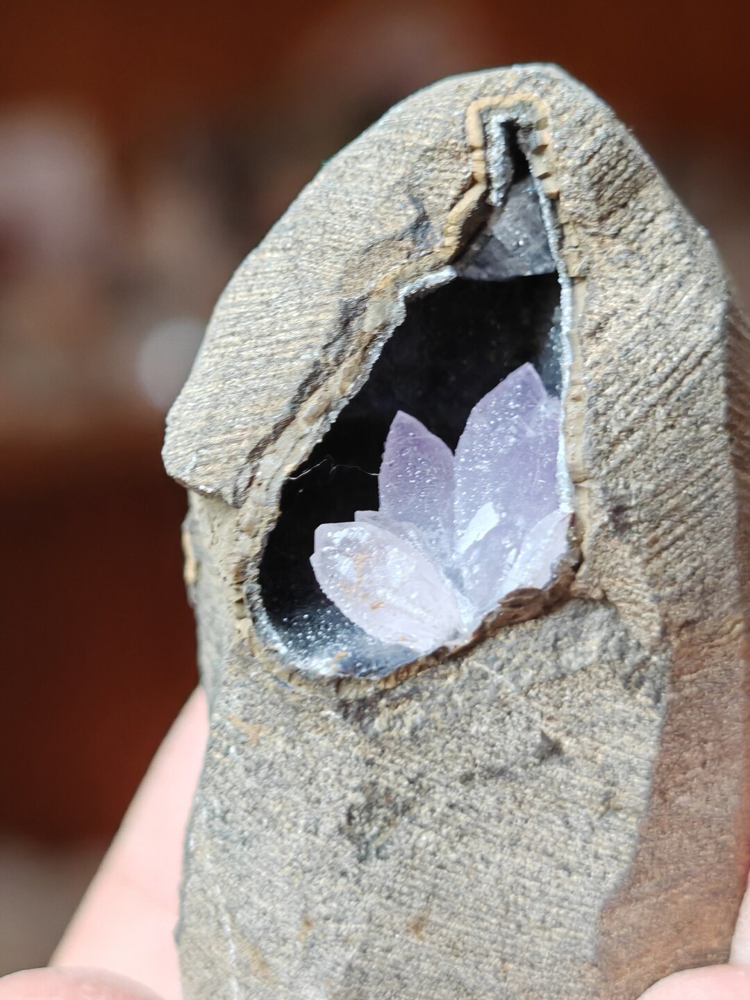 Dark Chalcedony Geode With Amethyst Points and Apophylty Crystals - Etsy