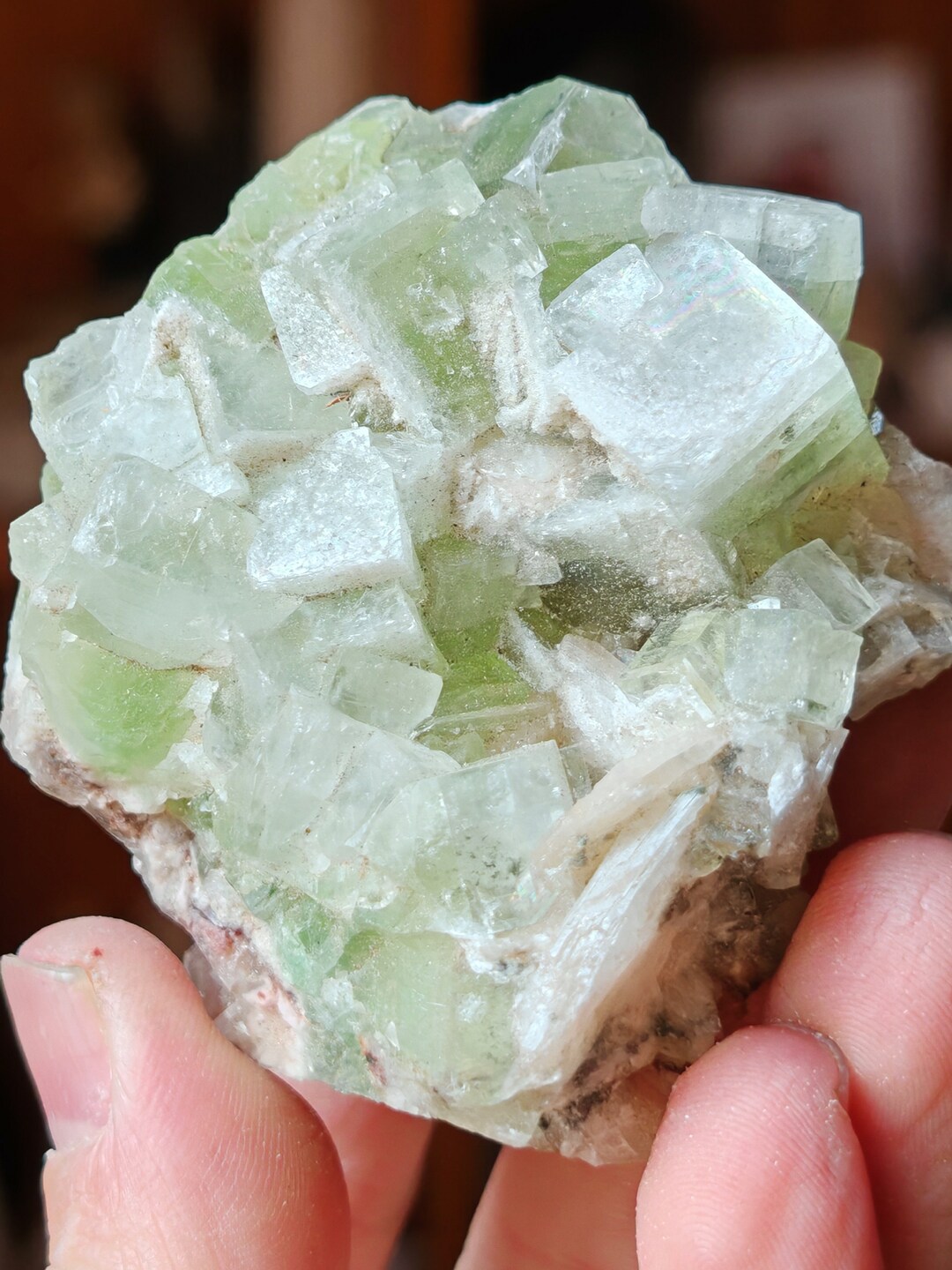 Cubic Green Apophyllite Crystals on Stilbite Matrix - Etsy