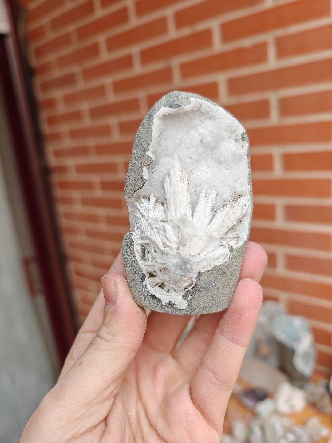 Quartz Geode With Scolecite Spray - Etsy