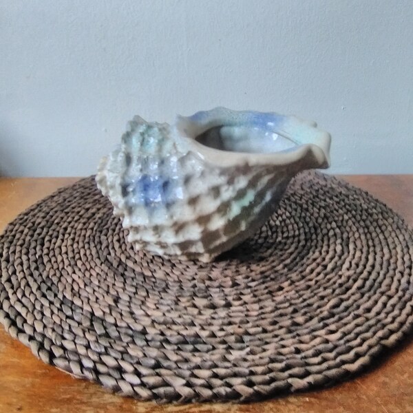 Sea Shell Planter - Etsy