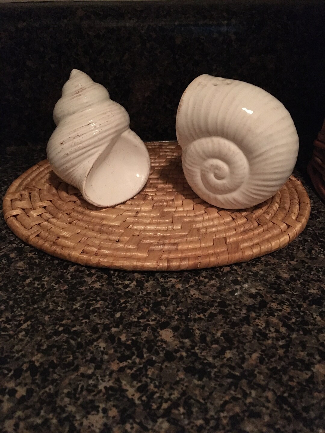 Ceramic Sea Shell Conch Shell Salt and Pepper Shaker Set - Etsy