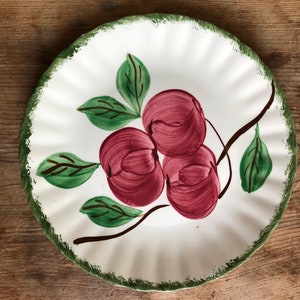 Vintage Blue Ridge Hand Painted Plates Set of 5 - Etsy