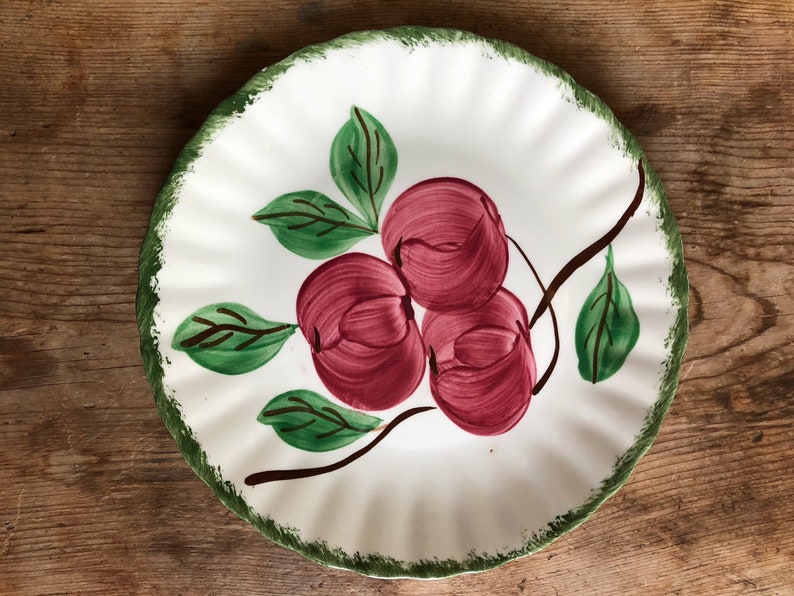 Vintage Blue Ridge Hand Painted Plates Set of 5 - Etsy