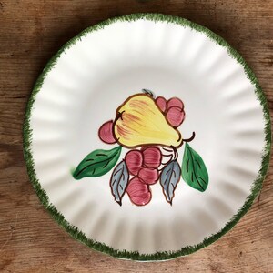 Vintage Blue Ridge Hand Painted Plates Set of 5 | Etsy