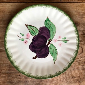 Vintage Blue Ridge Hand Painted Plates Set of 5 - Etsy