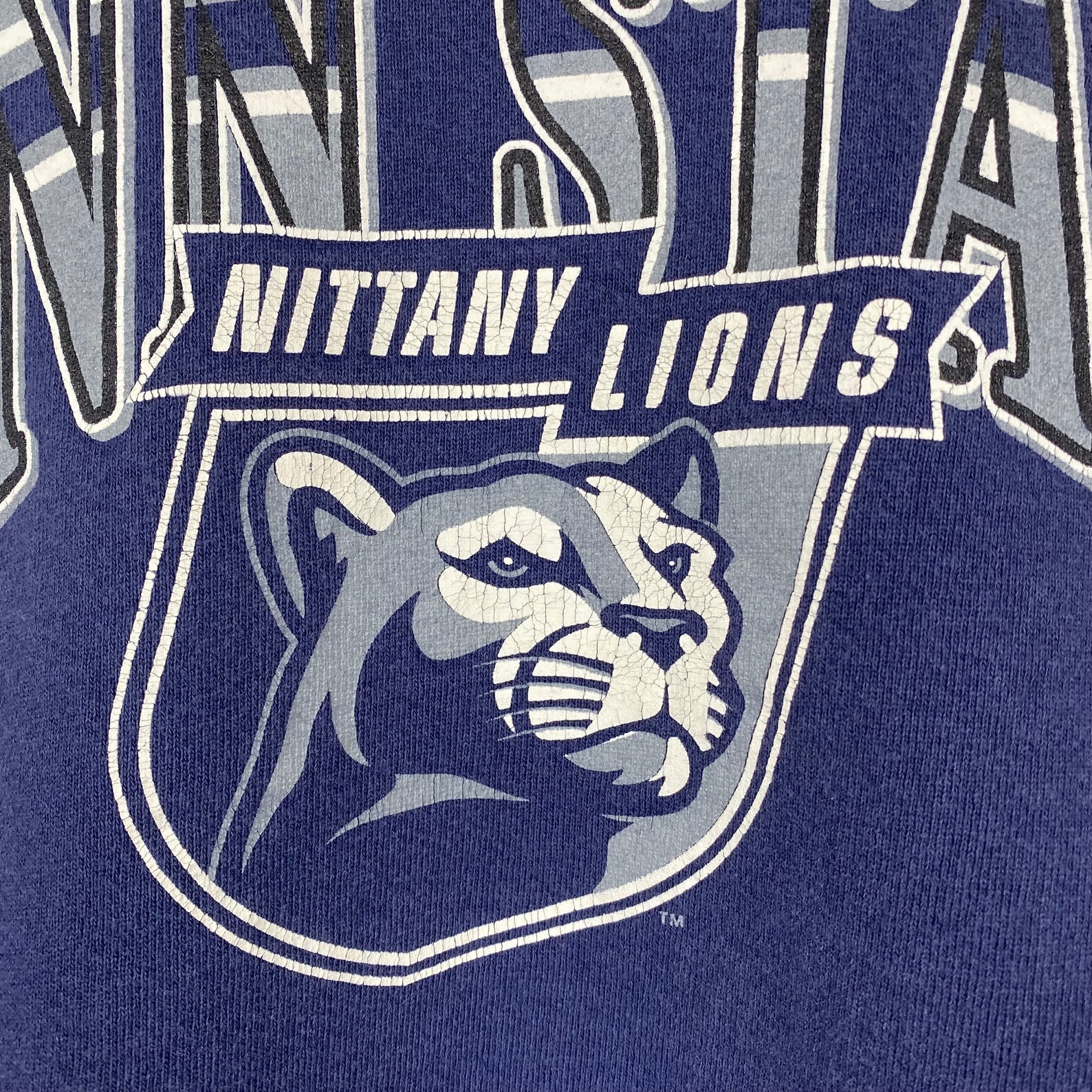 90s NCAA Pennsylvania State University Nittany Lions - Etsy