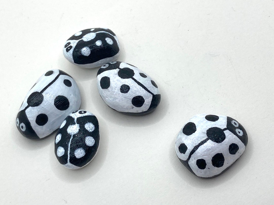 5 Black and White Ladybird Stones Rocks for the Garden - Garden Decor ...