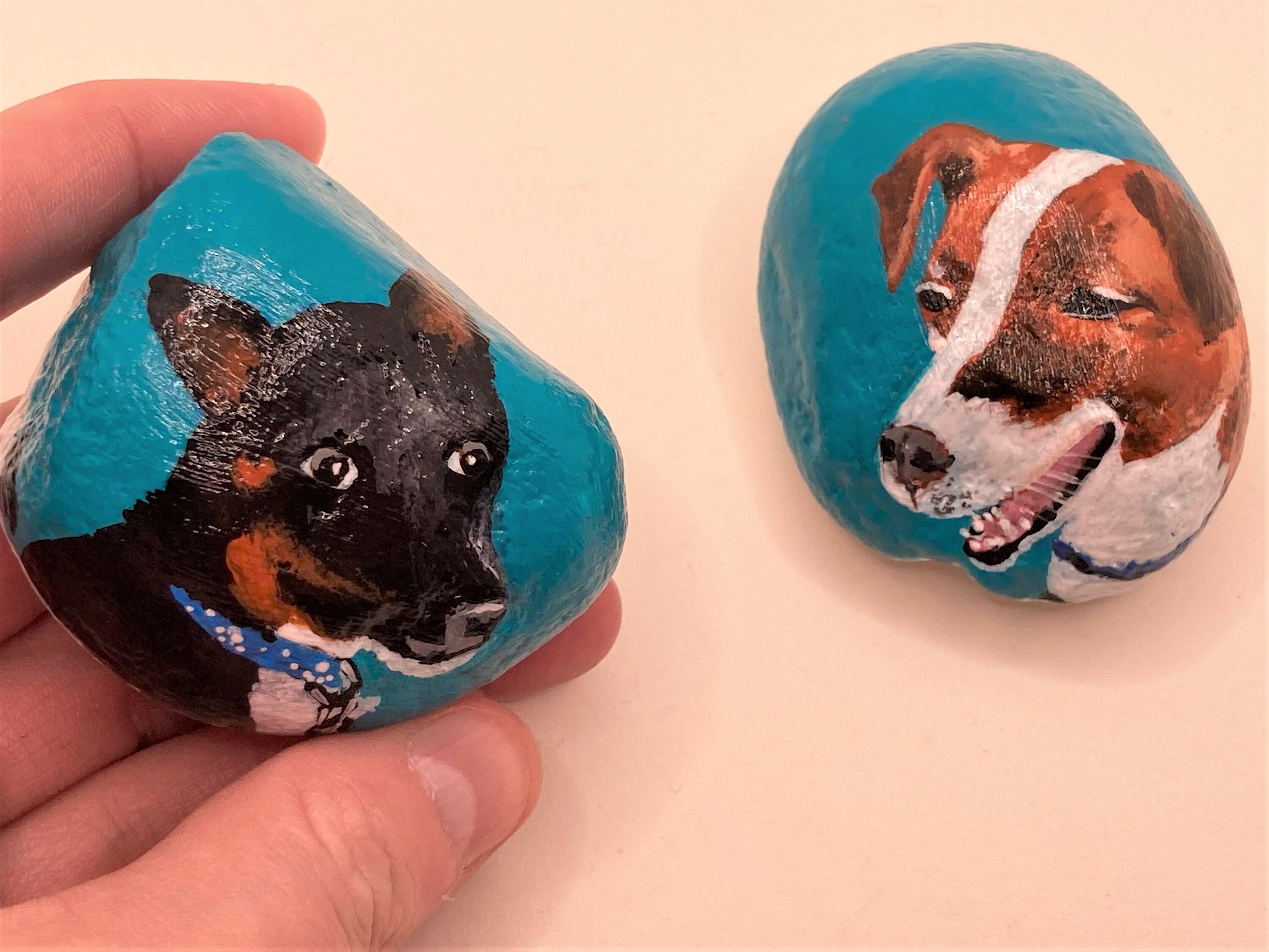 A Personalised Rock of YOUR Dog Hand Painted Stone - Etsy UK
