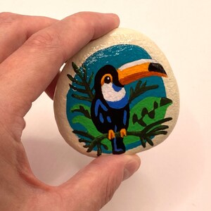 Toucan Rock - Tropical Bird Stone - Garden Stone - Garden Patio Ideas ...