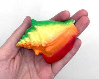 Hand Painted Conch Shell - Etsy