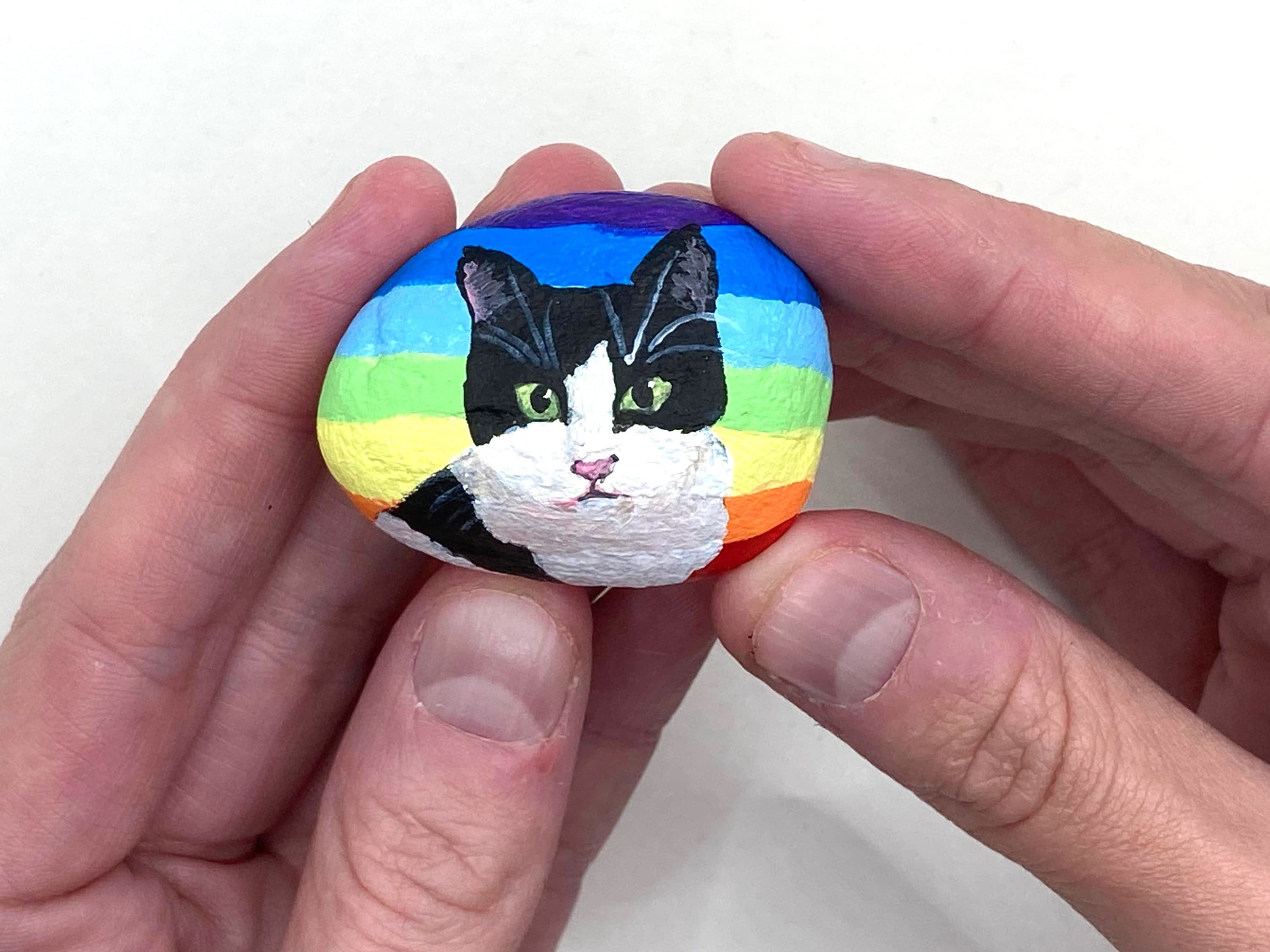 A Personalised Rock of YOUR Cat Hand Painted Stone - Etsy UK