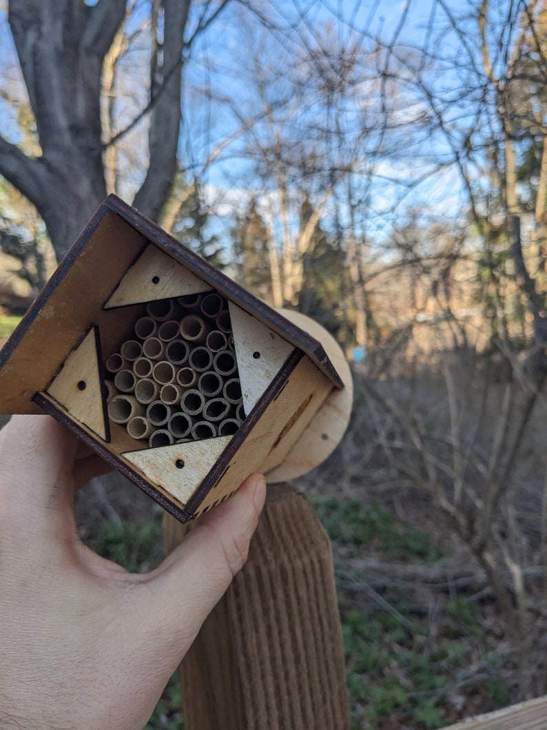 Miniature Native Bee Box I Native Bee Hotel Designed for Them - Etsy