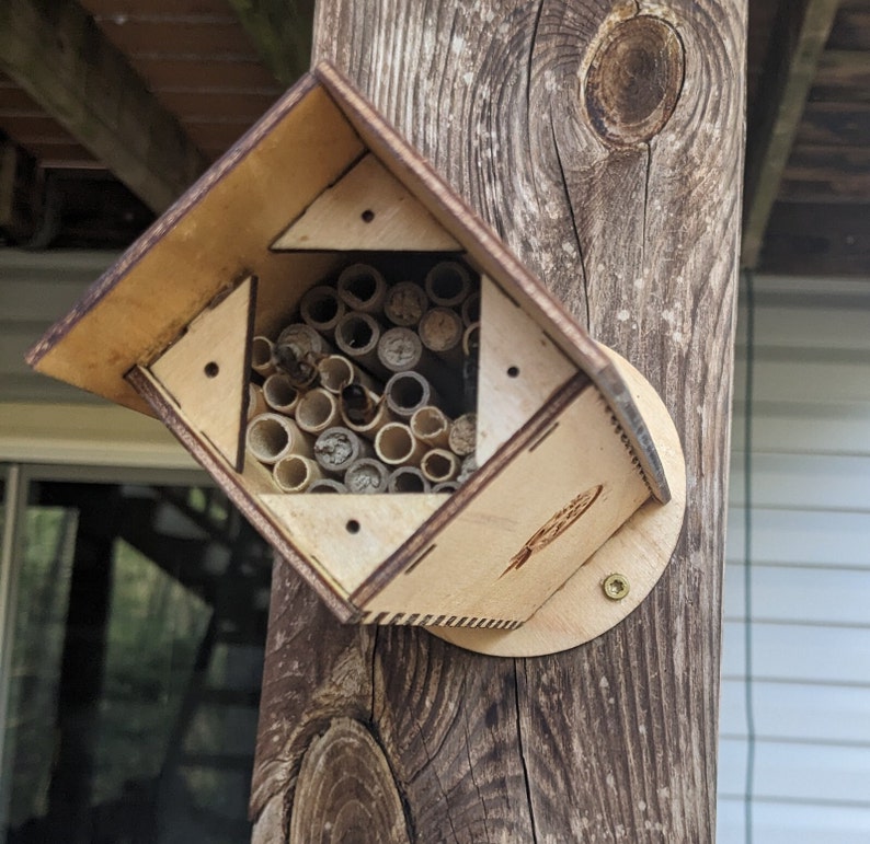 Digital File for Miniature Native Bee Box (SVG File) - Etsy