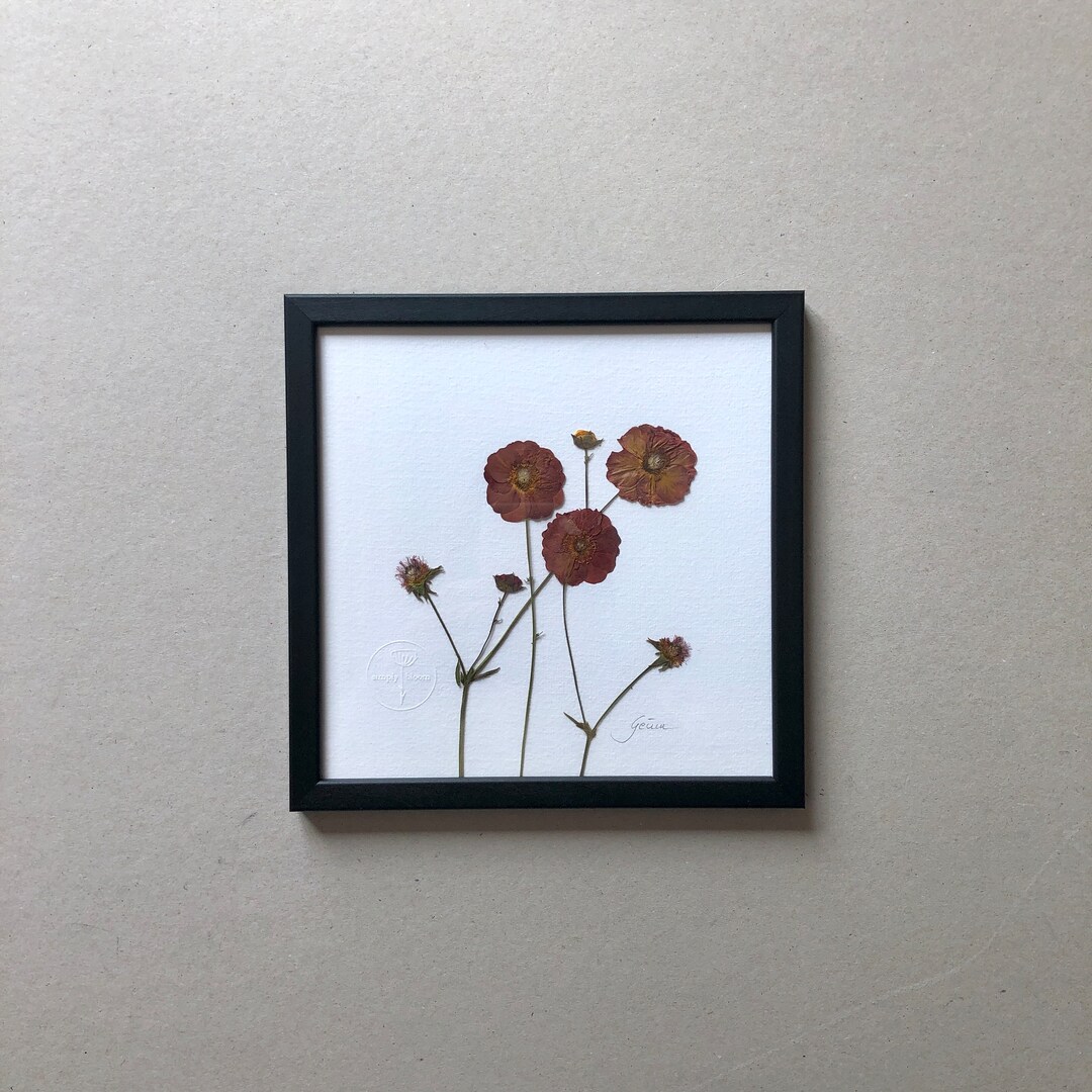 Herbarium Carnation Root Picture Frame With Pressed Flower - Etsy