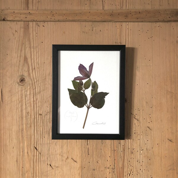 Herbarium Frame - Etsy