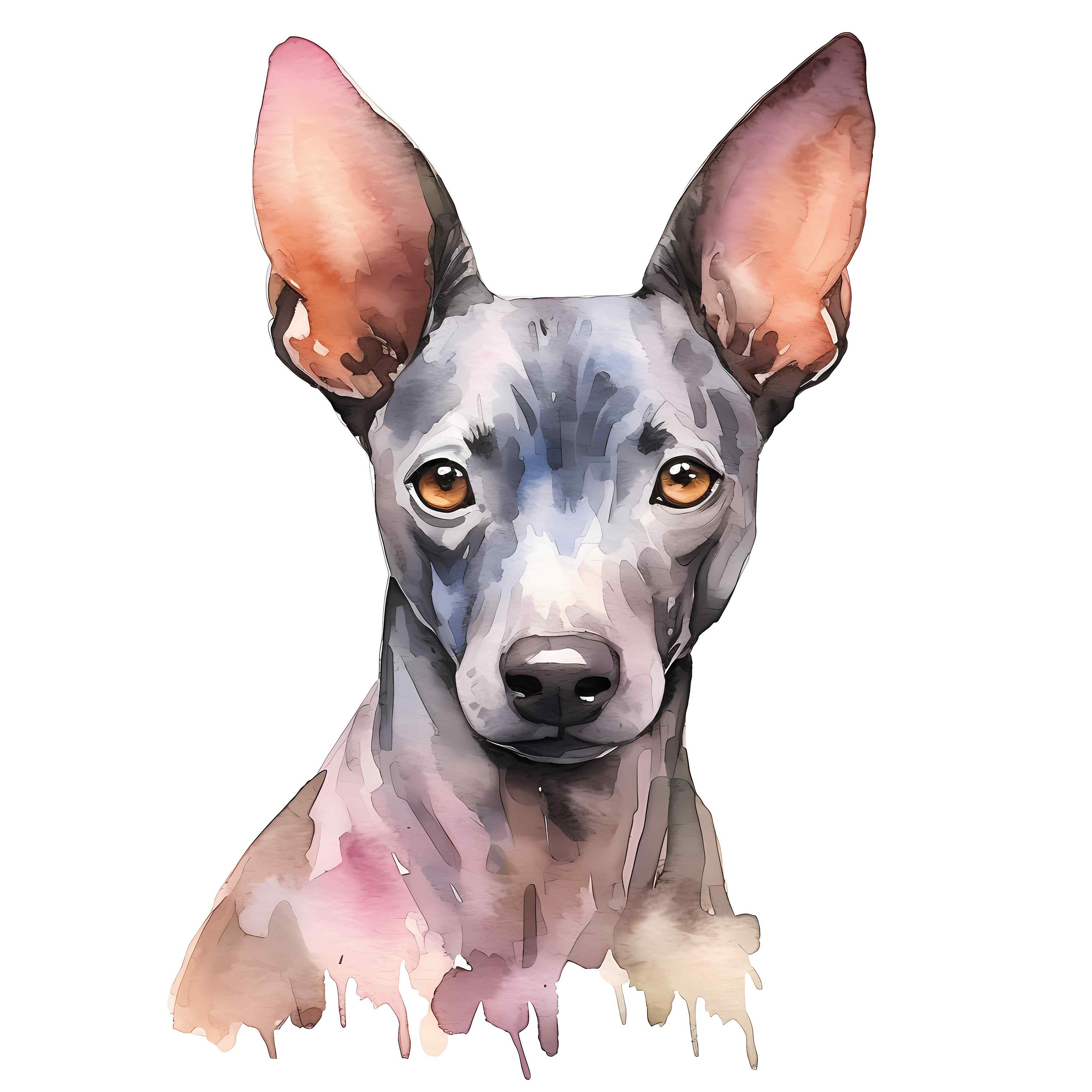 Exotic Xoloitzcuintli Dog Face Clip Art Watercolor Dog Face - Etsy