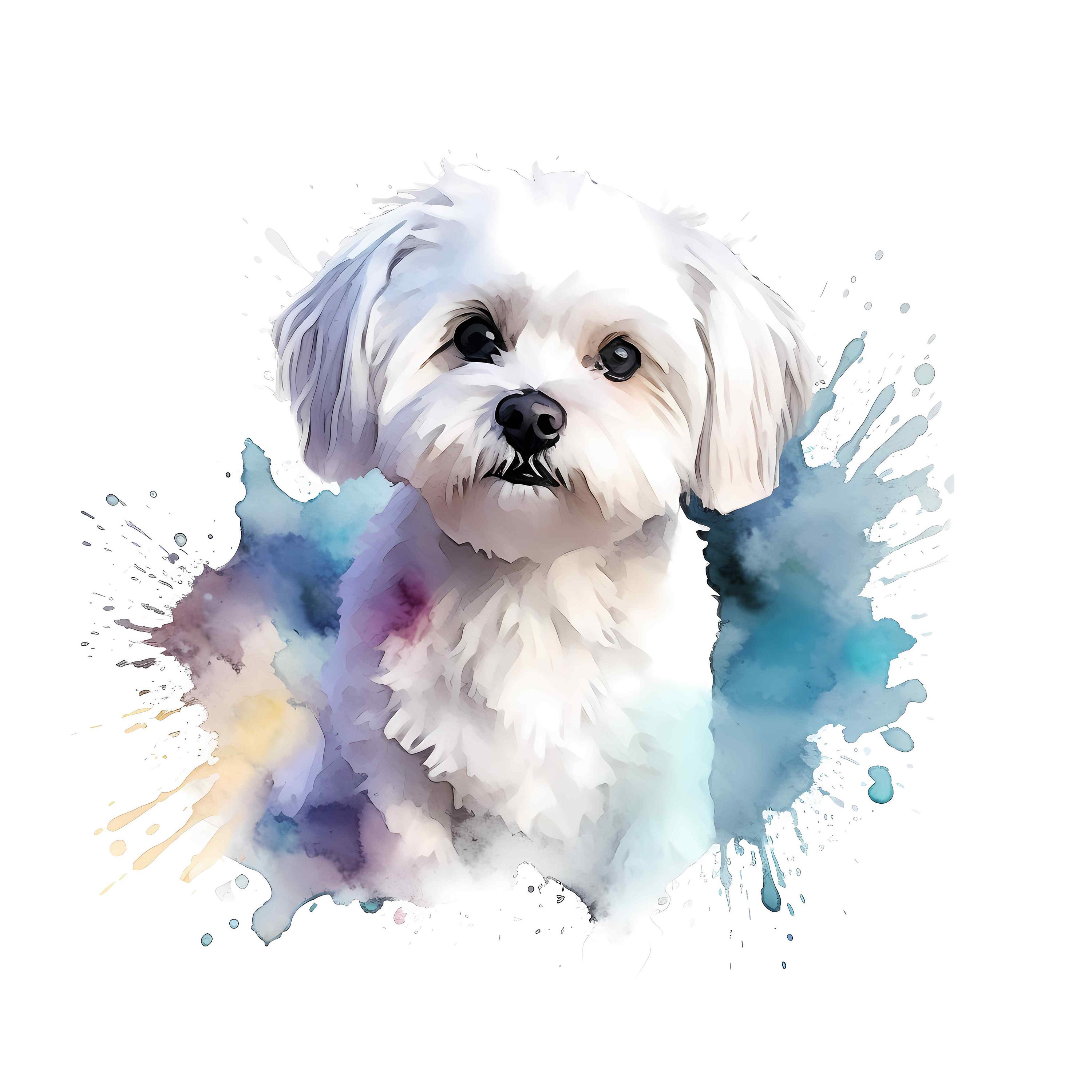 Darling Maltese Dog Clip Art Watercolor Dog Face Clipart - Etsy