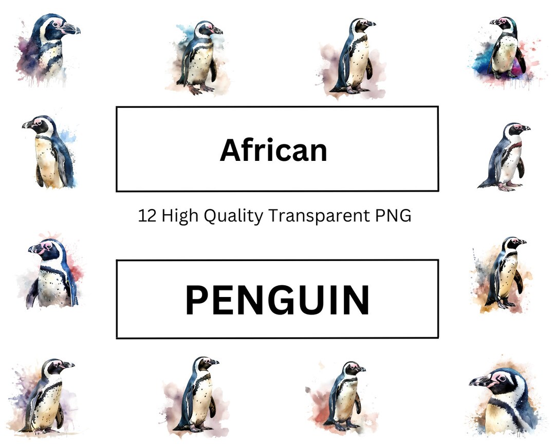 African Penguin Clipart, Colorful Barn Penguin Bird Illustration ...
