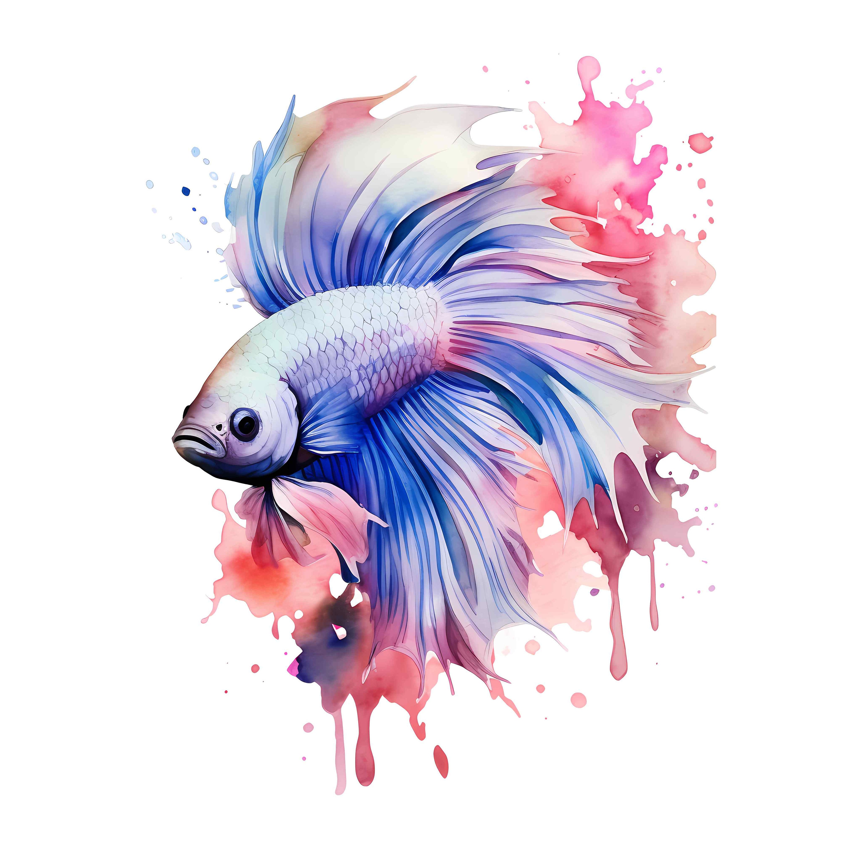 Enchanting Betta Fish Clip Art Watercolor Fish Illustration - Etsy