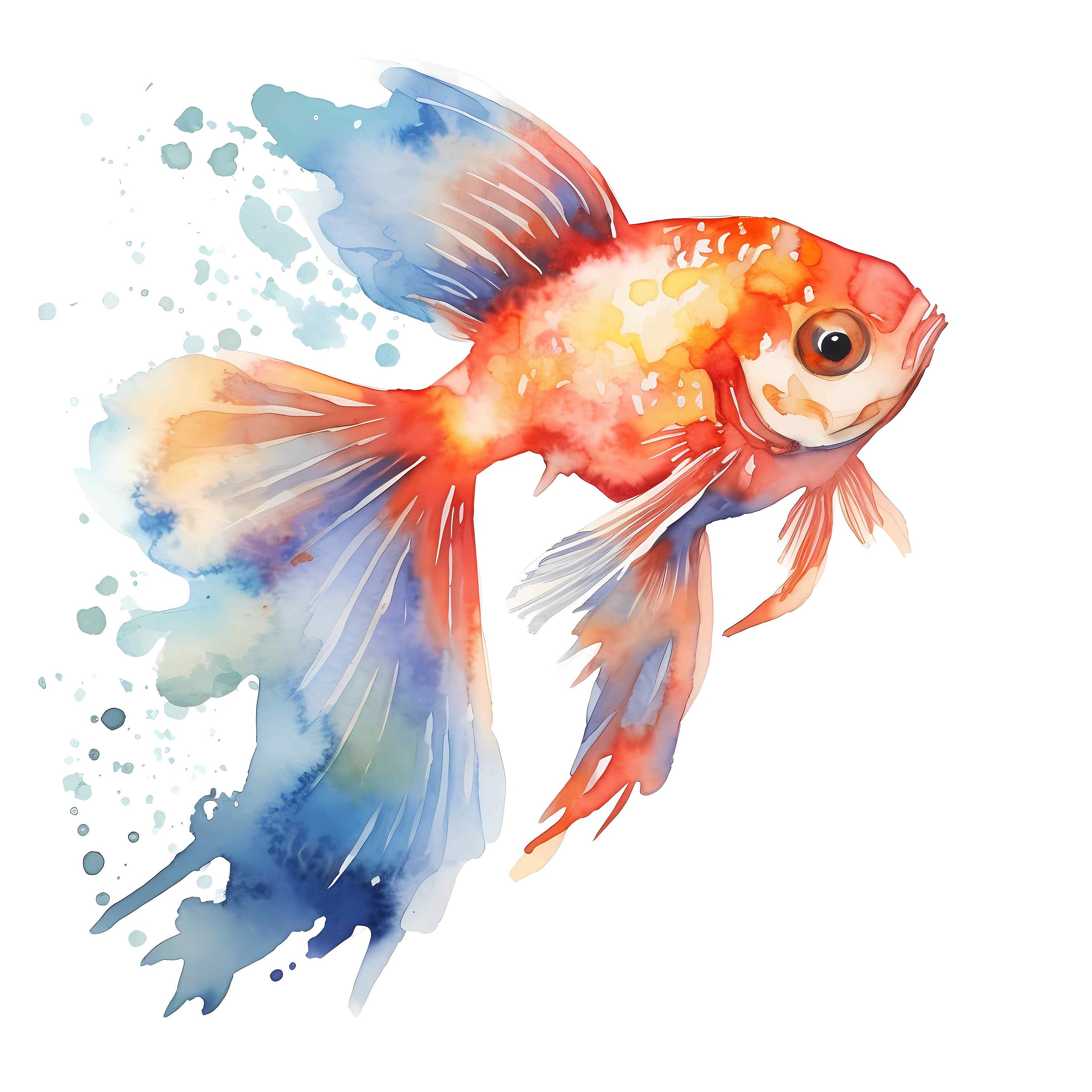 Wondrous Molly Fish Clip Art Watercolor Fish Illustration - Etsy