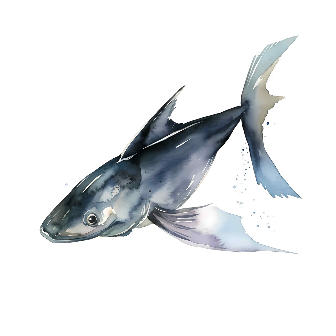 Graceful Black Ghost Knifefish Clip Art Watercolor Fish - Etsy