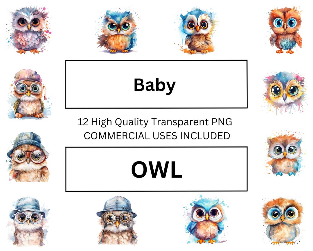 Cute Baby Owl Clipart, Watercolor Bird Illustration Perfect for Print ...
