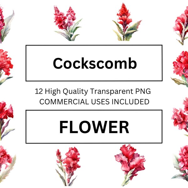 Cockscomb - Etsy