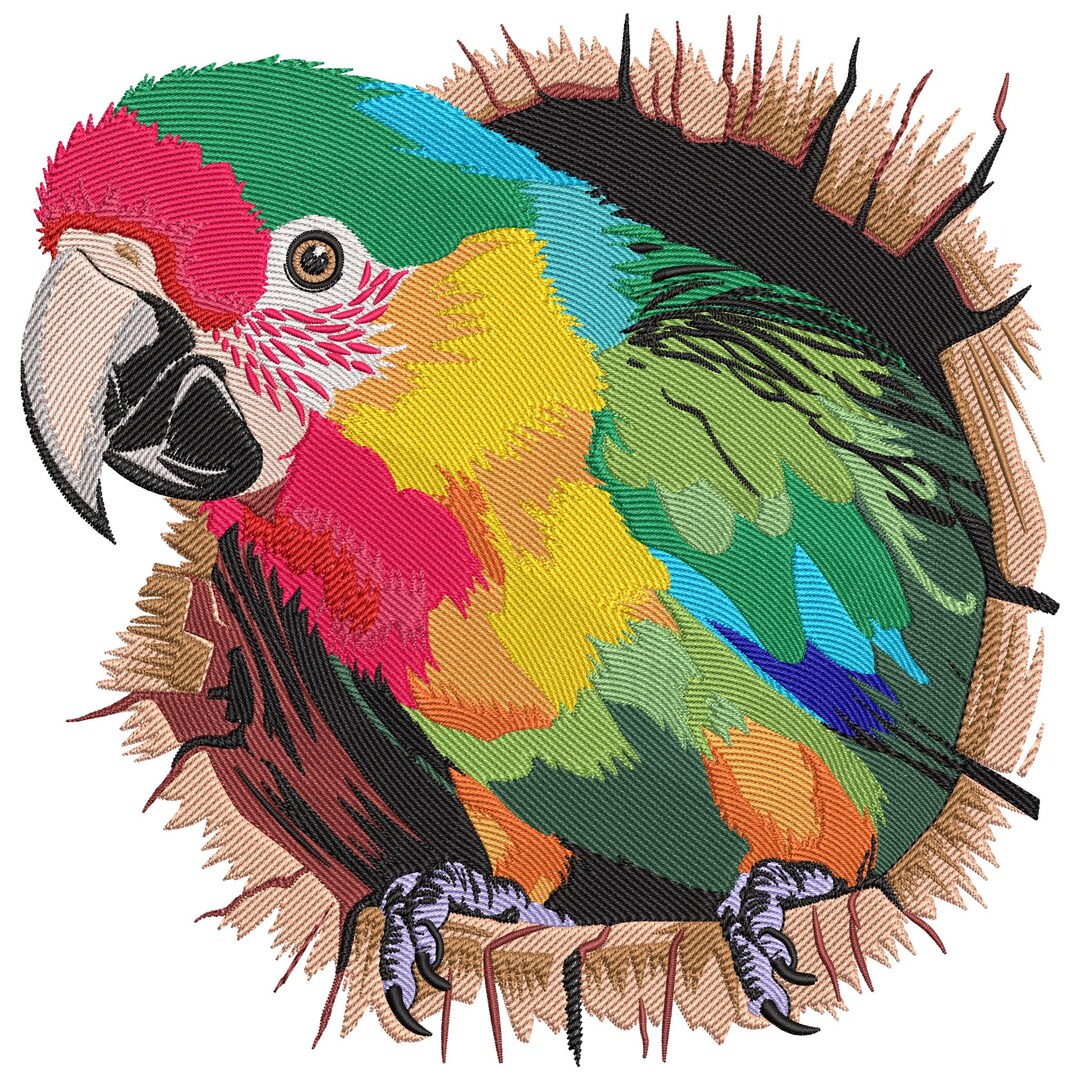 Colorful Parrot Embroidery Design, Parrot Machine Embroidery Files ...