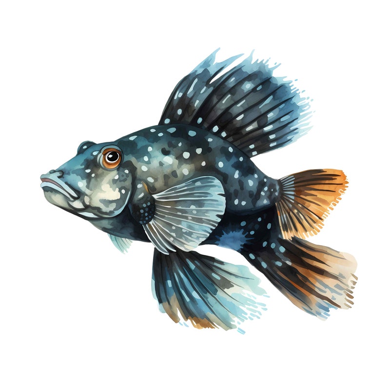 Vibrant Pleco Fish Clip Art Watercolor Fish Illustration - Etsy