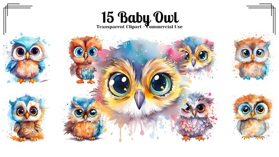 Baby Owls Digital Art