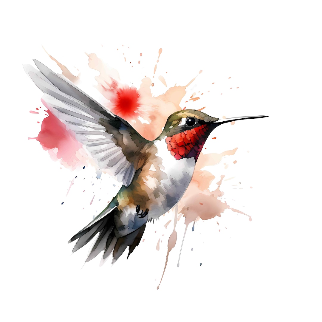 Ruby Throated Hummingbird Clipart Watercolor Beautiful Ruby - Etsy