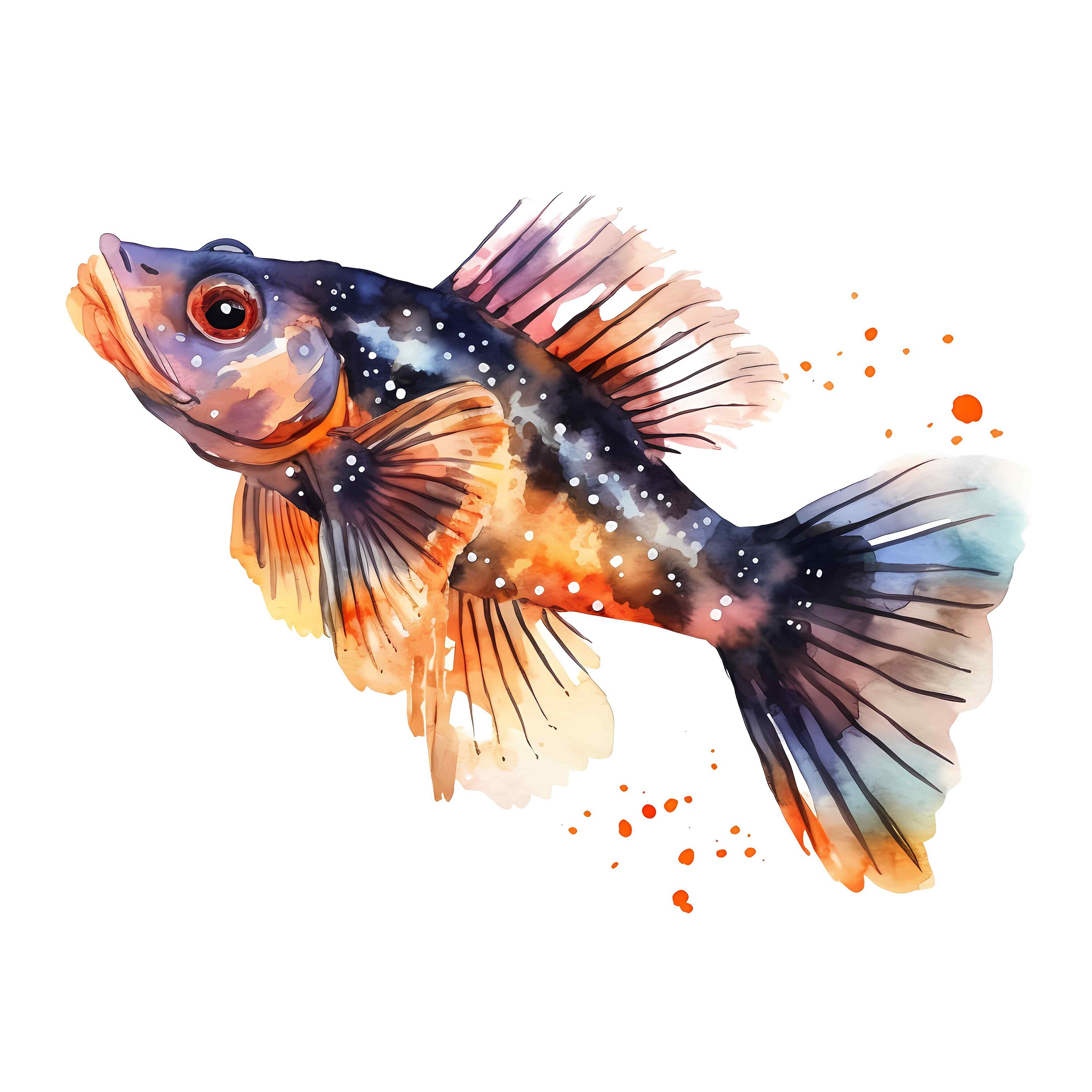 Vibrant Pleco Fish Clip Art Watercolor Fish Illustration - Etsy