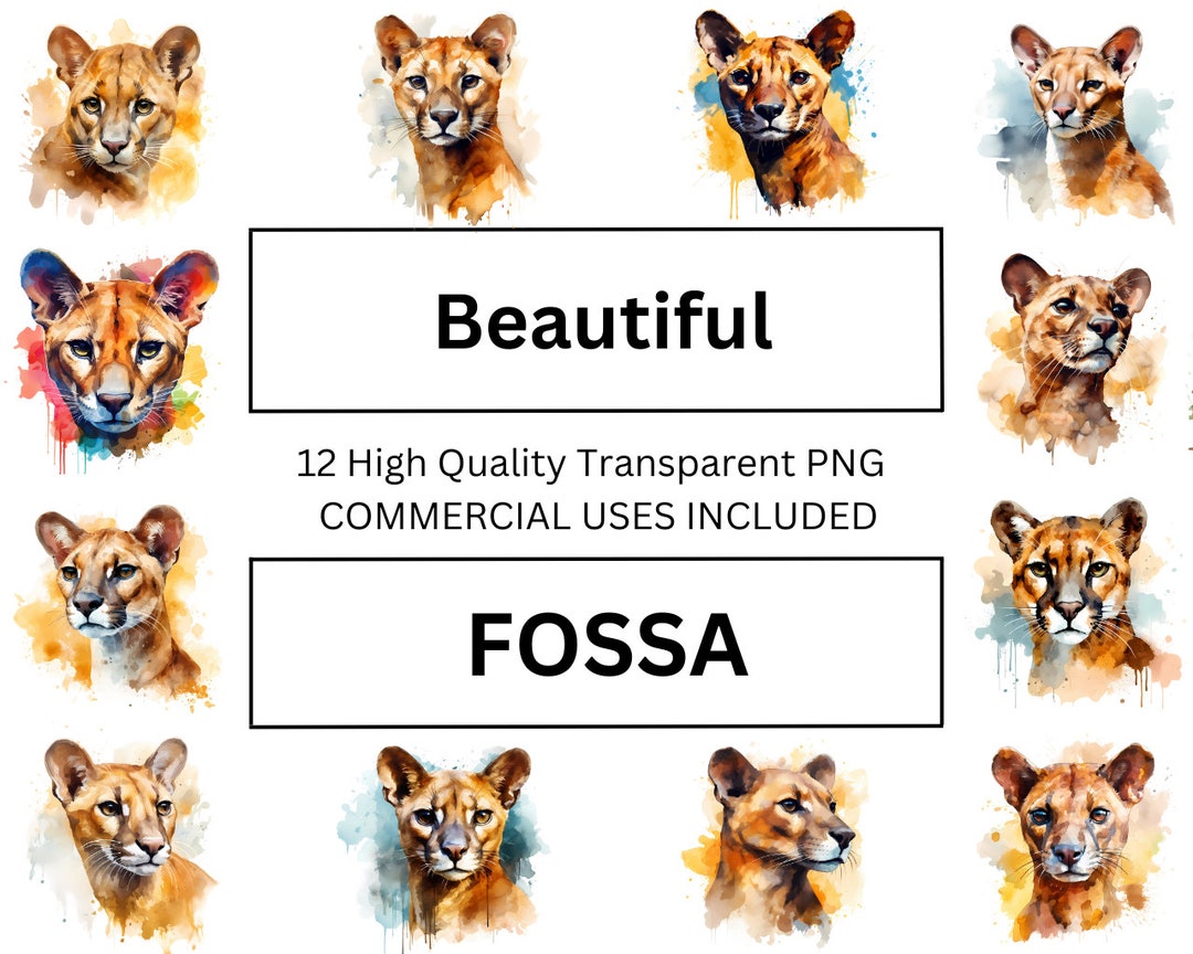 Hermosas imágenes prediseñadas de cara de fosa, ilustración de cara de ...