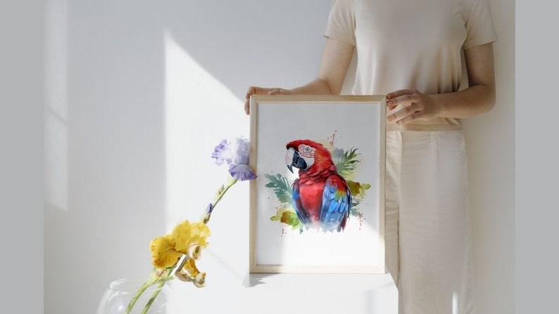 Scarlet Macaw Clipart, Watercolor Endangered Scarlet Macaw Bird Clipart ...