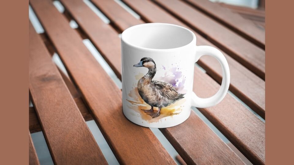 Charming African Black Duck Clip Art Watercolor Bird - Etsy