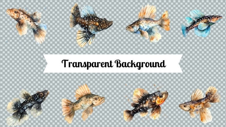 Captivating Bristlenose Pleco Fish Clip Art Watercolor Fish - Etsy