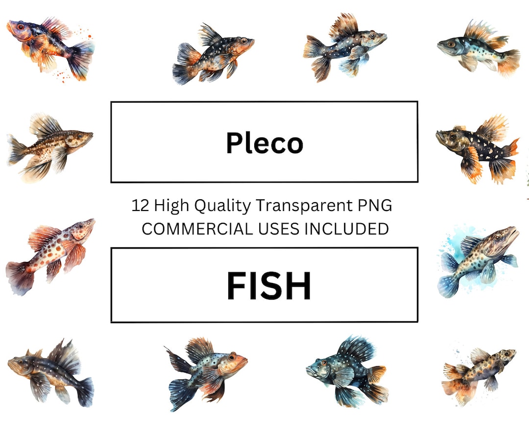Vibrant Pleco Fish Clip Art, Watercolor Fish Illustration Printable ...