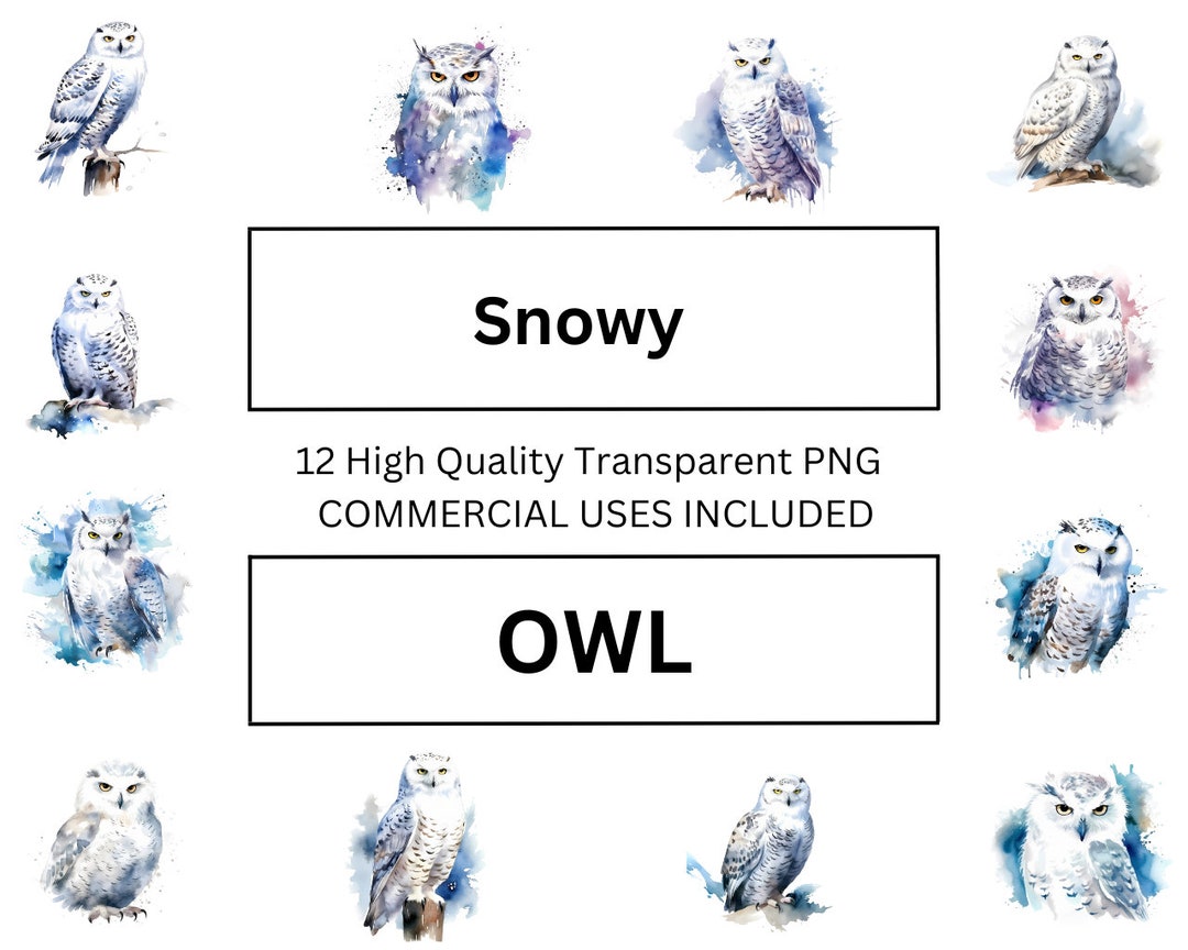 Cute Snowy Owl Clipart, Colorful Snowy Owl Winter Clipart Watercolor ...