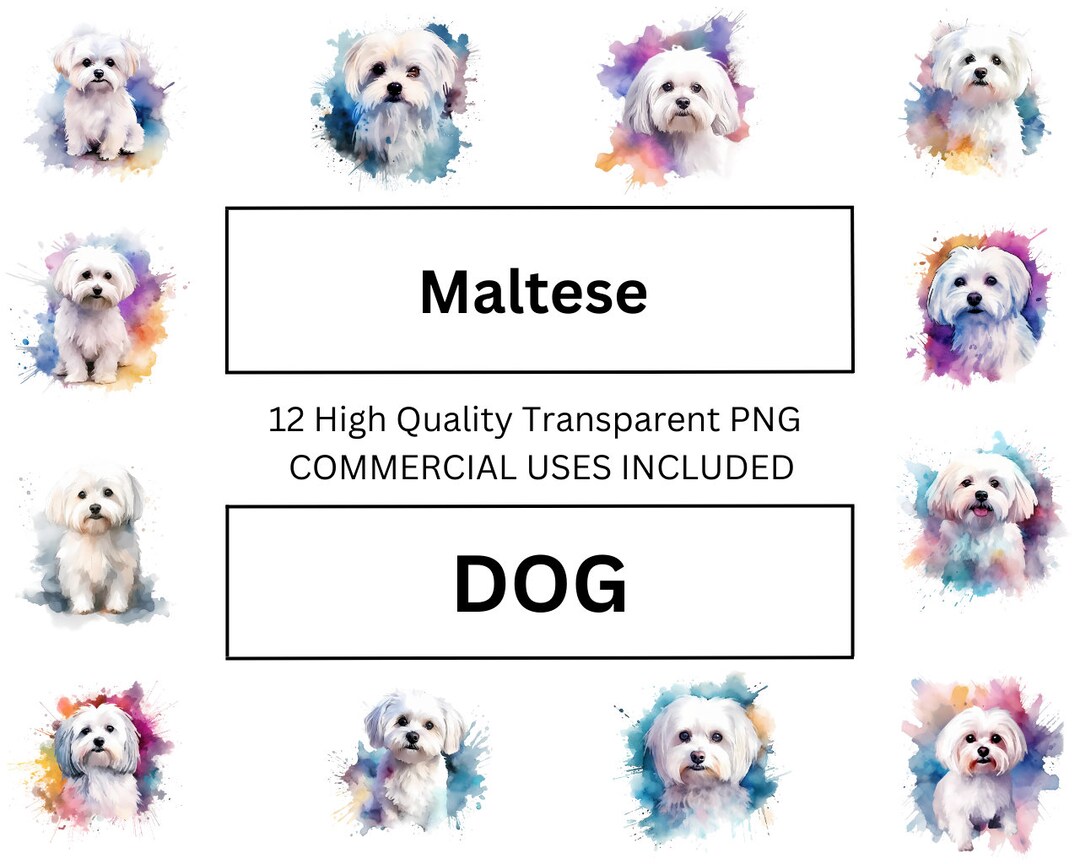 Darling Maltese Dog Clip Art, Watercolor Dog Face Clipart High Quality ...