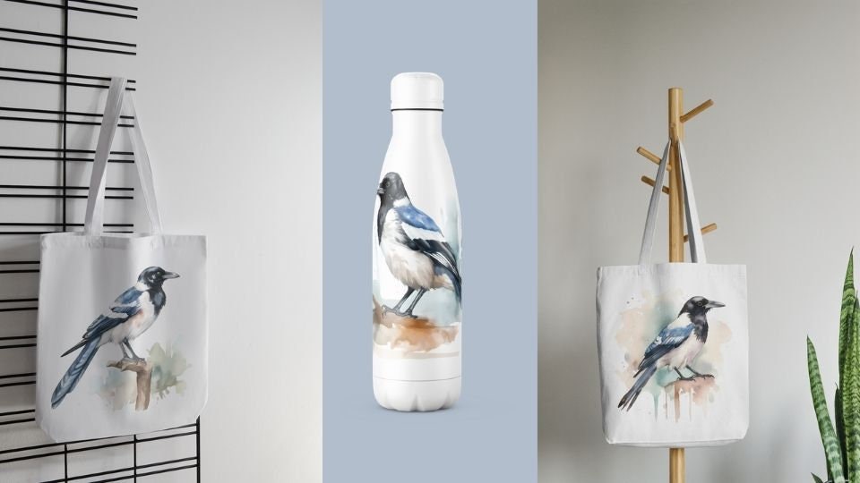 Australian Magpie Clipart, Watercolor Australian Magpie Bird Digital ...