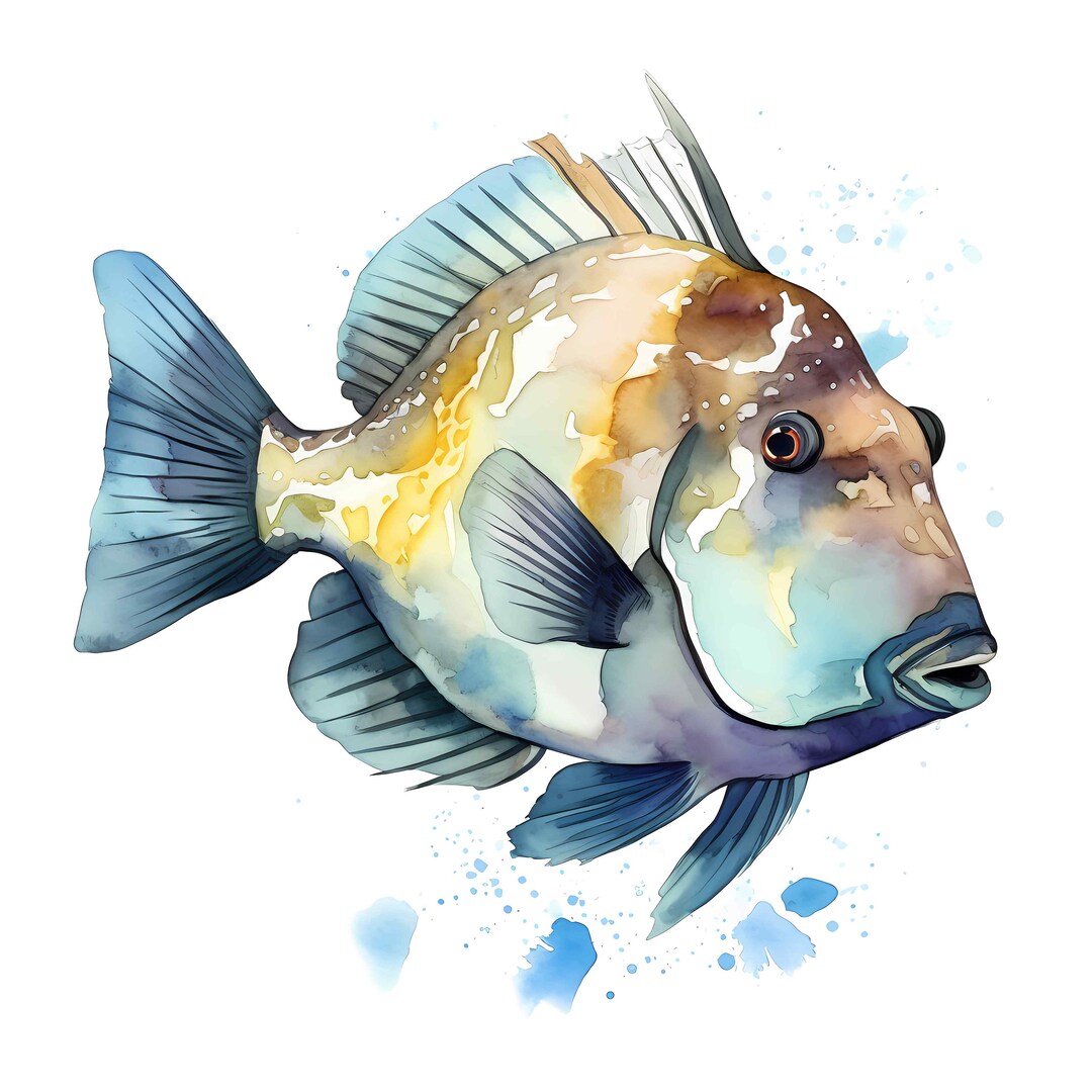 Enchanting Triggerfish Clip Art Watercolor Fish Illustration - Etsy