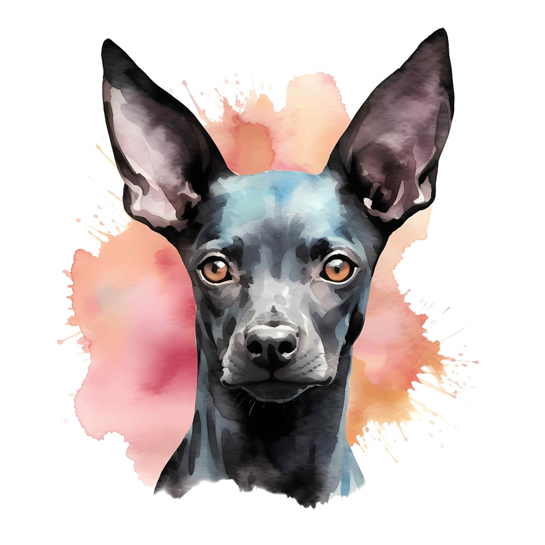 Exotic Xoloitzcuintli Dog Face Clip Art Watercolor Dog Face - Etsy