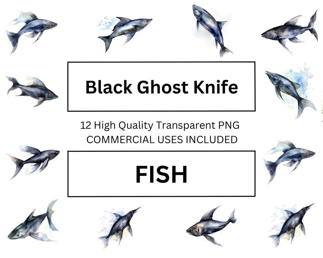 Graceful Black Ghost Knifefish Clip Art, Watercolor Fish Illustration Perfect For, Wall Art ...