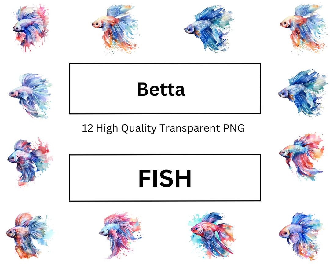 Enchanting Betta Fish Clip Art, Watercolor Fish Illustration High ...