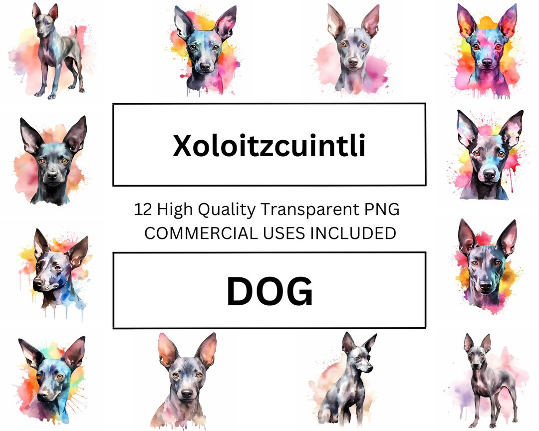 Exotic Xoloitzcuintli Dog Face Clip Art, Watercolor Dog Face Clipart ...