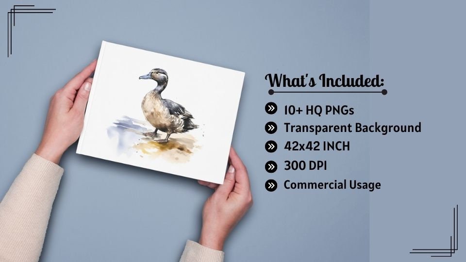 Charming African Black Duck Clip Art Watercolor Bird - Etsy