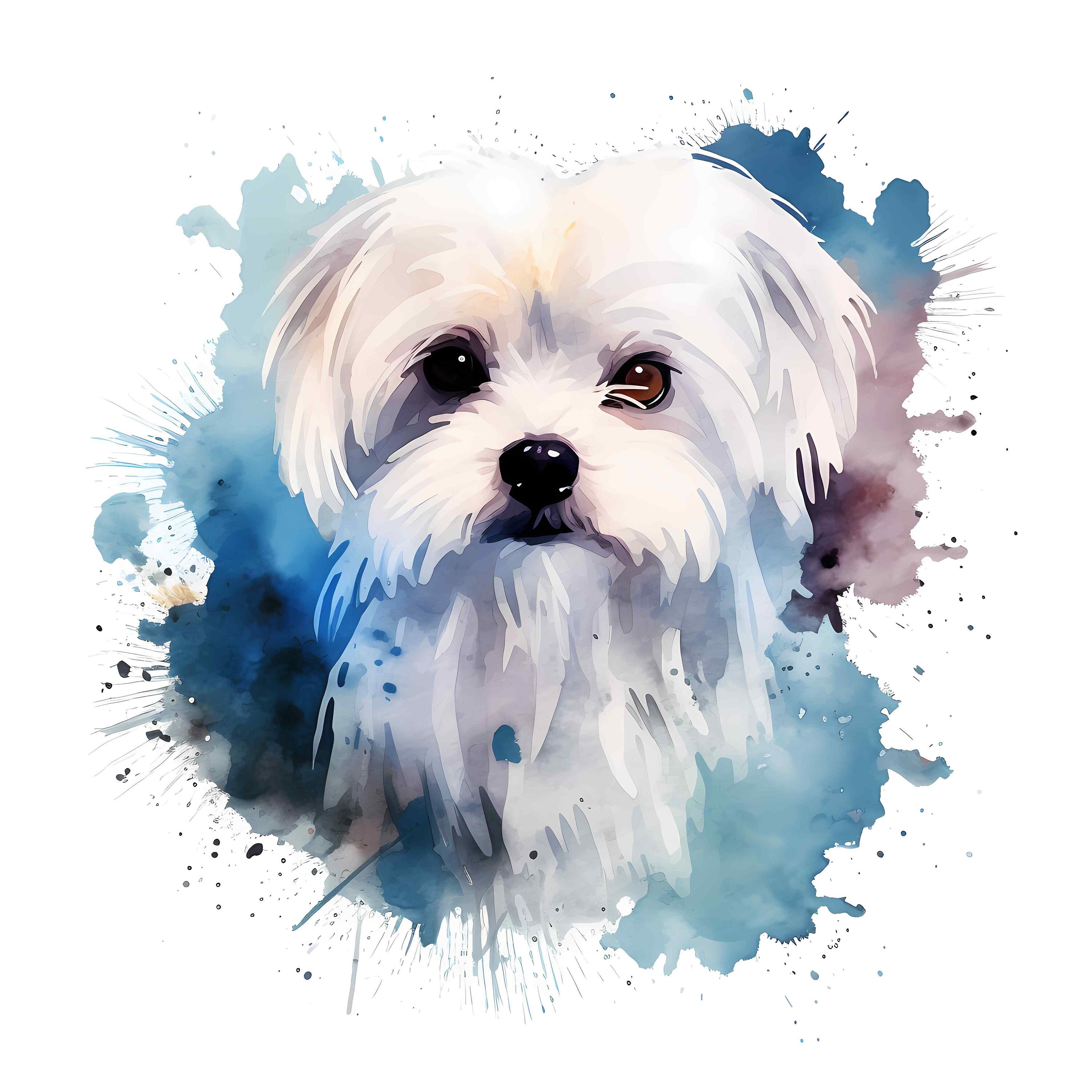 Darling Maltese Dog Clip Art Watercolor Dog Face Clipart - Etsy